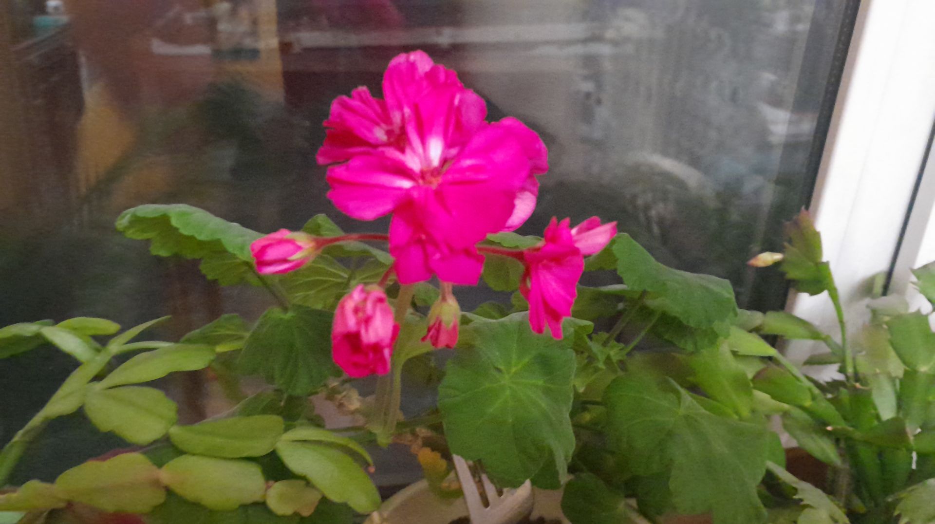 Жизнь в Загородном доме в Сибири/Оладушки с сюрпризом/Снова холодно , пошли морозы - 35.