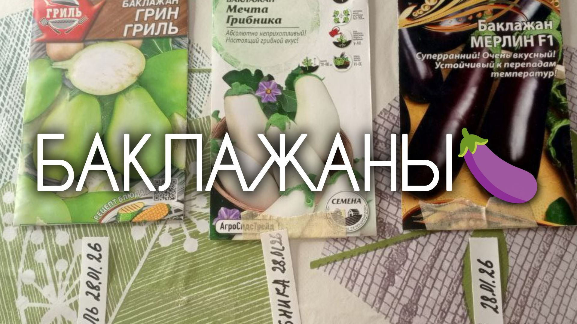 ПОСЕЯЛА БАКЛАЖАНЫ 🍆 на рассаду 🌱