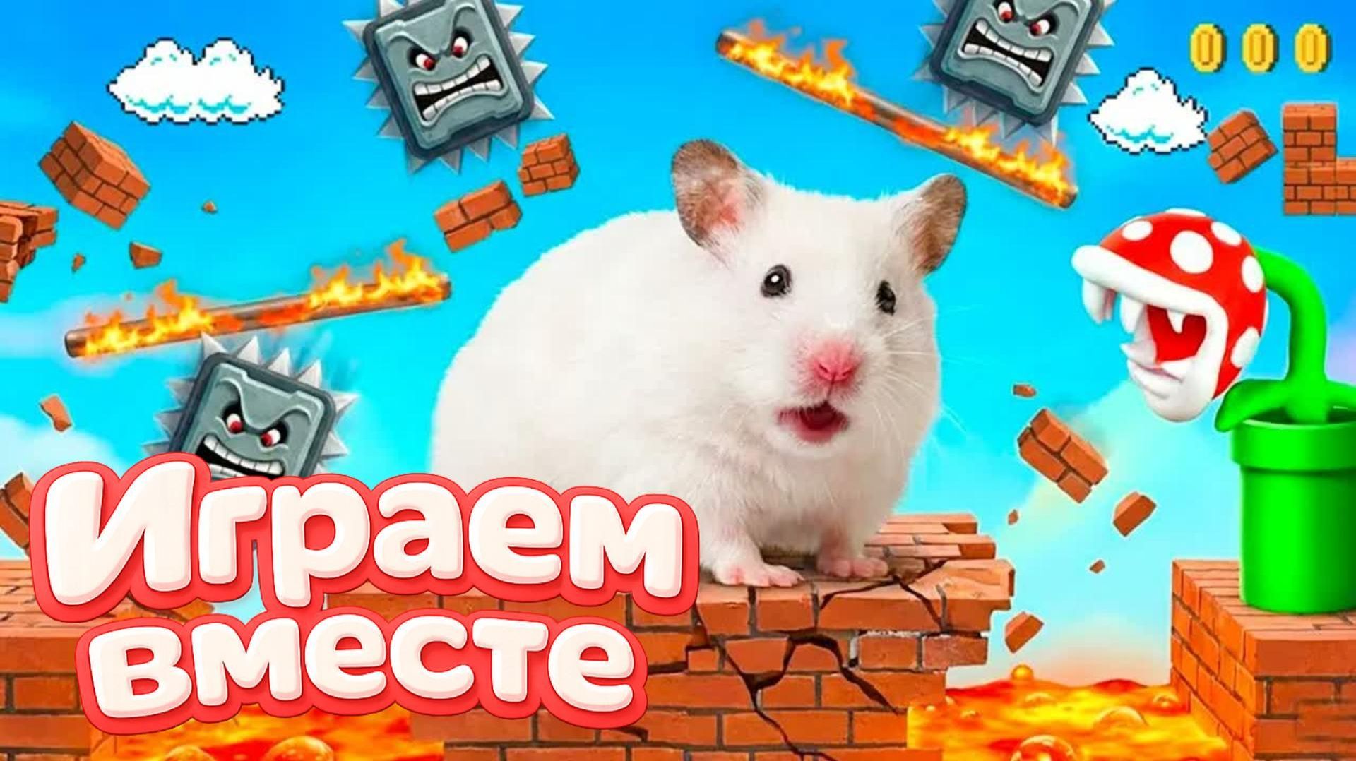 МАРИО ЛАБИРИНТ для Умного Хомяка 🐹 Хомяк попал в ИГРУ 🐹 Выбираемся вместе 🐹 Видео для детей