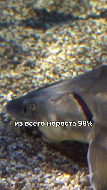 Для чего существует сила разрушения? #саморазвитие #мышление #путь #сила #мироздание