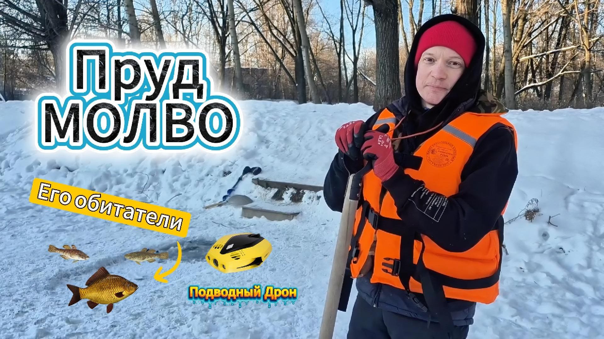 Пруд Молво зимой: Как живут рыбы подо льдом? Подводные тайны через объектив дрона