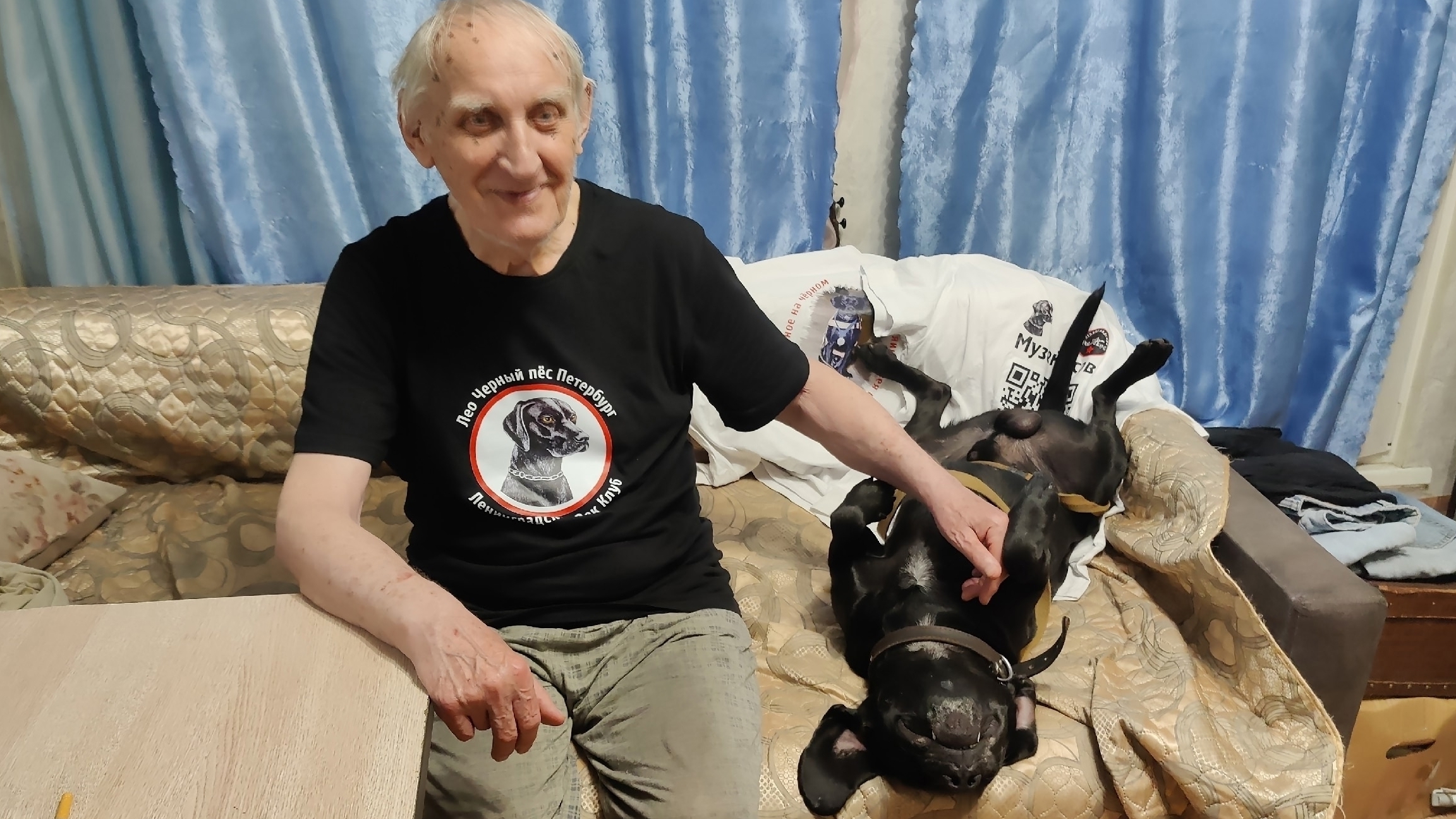 Моя Жизнь Кино 🎬 Музей Псов