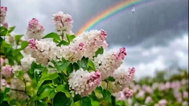 АПРЕЛЬ (Ремикс песни "Chris Rea - Looking For The Summer")