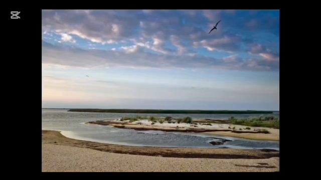 МБОУ Орловская СОШ № 1