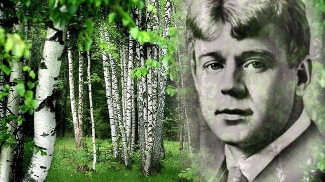 МНЕ ПОСЧАСТЛИВИЛОСЬ ВАС ЗНАТЬ. Роза Сиротина