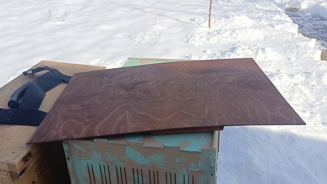 немного о ловле пчелиных роёв