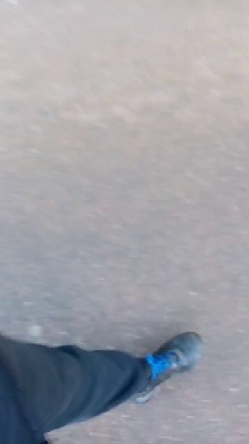 Листья Смешанных Деревьев video_2026-02-04_AIN SOF  TREE  (8)