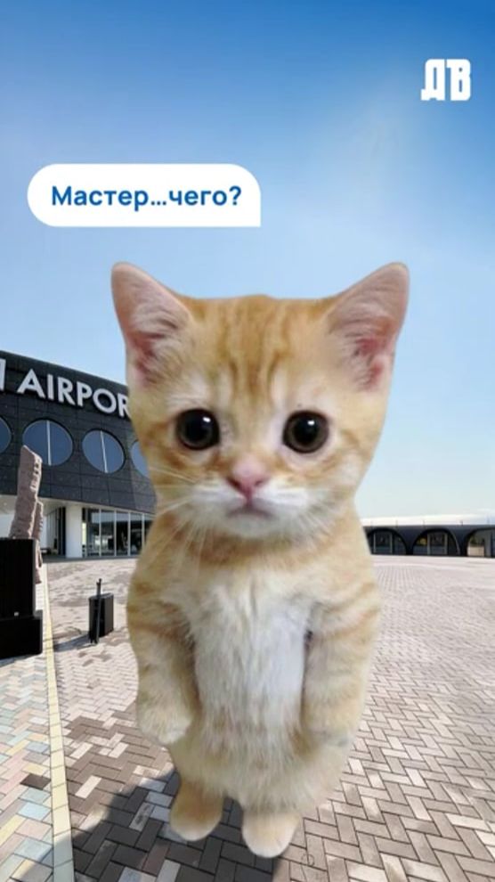 Мастер-планы на Дальнем