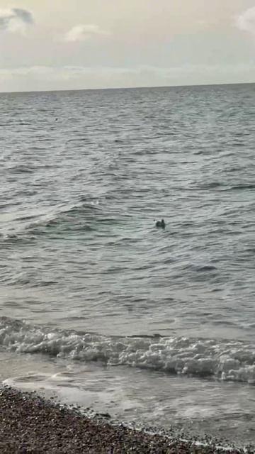 Если умножить полезное на вредное что получится? 🧐