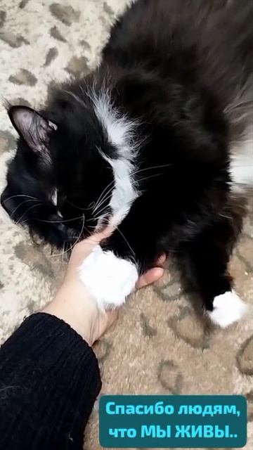 Спасибо людям, что мы остались живы.