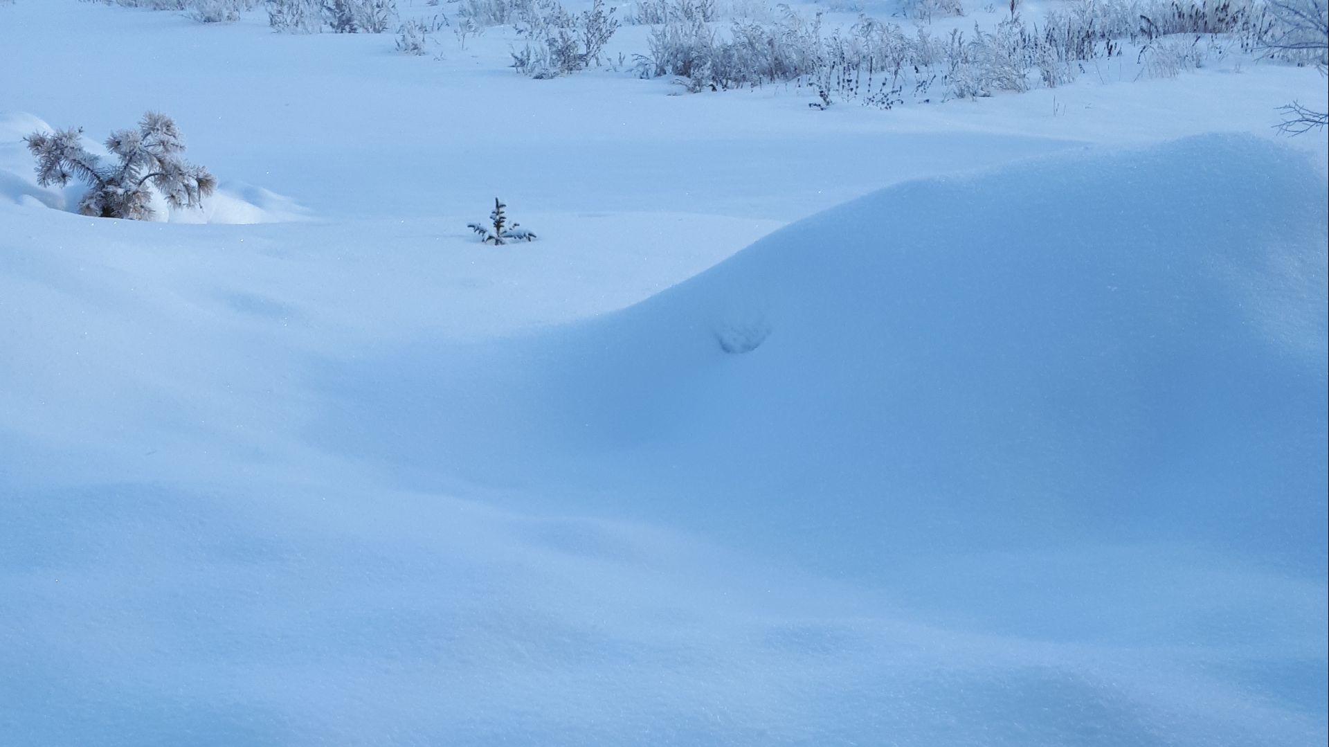 Навалило снега много - создано на сайте ТвойХит.рф стихи Е. Касаткиной.