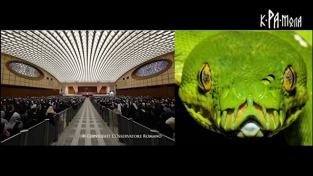 Змееголовый конференц-зал Папы Римского. Кому служит Ватикан.