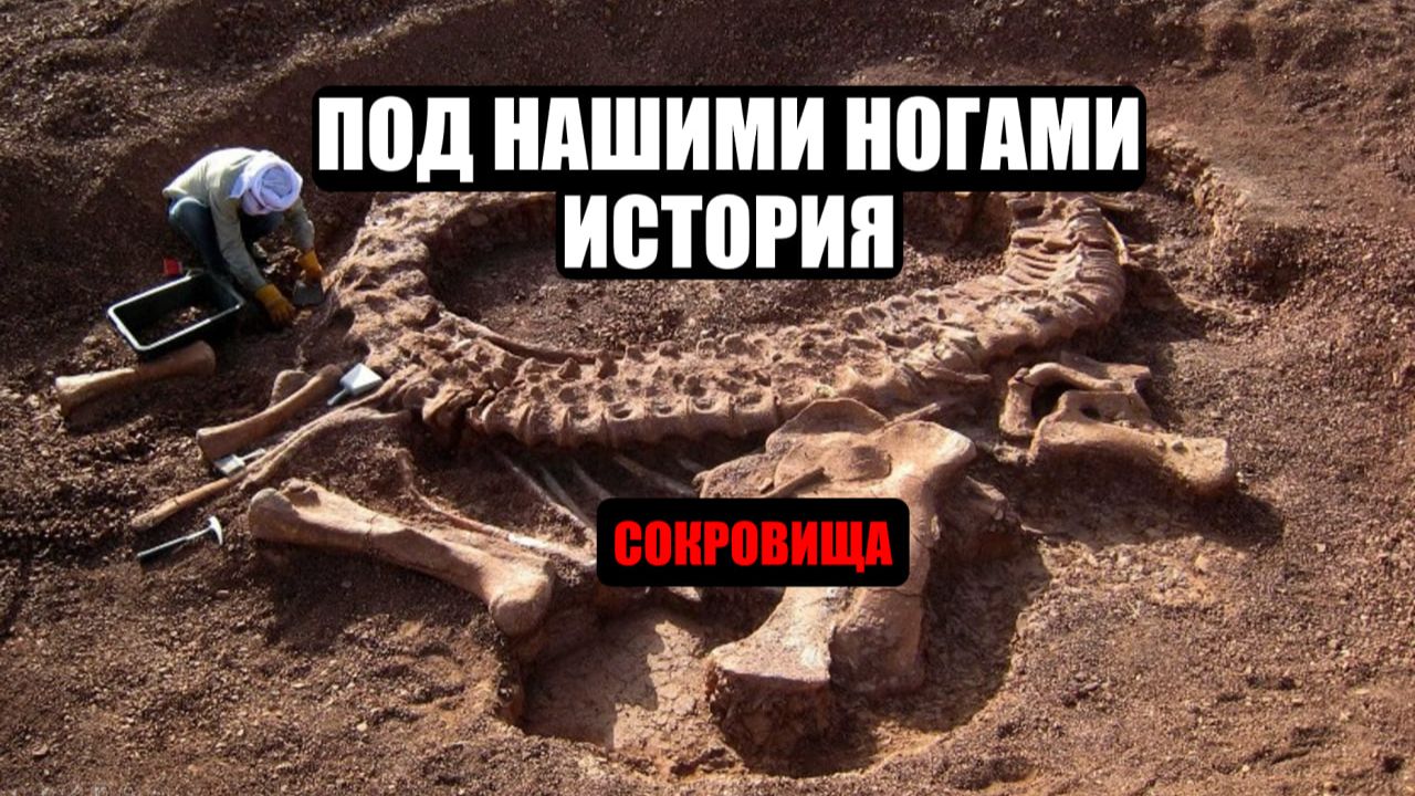 Насколько далеко от нас останки динозавров