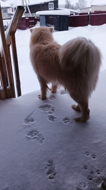 Так начинается утро