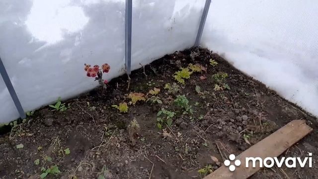 21.01.24. Снегоборьба 🌨🤣☃️