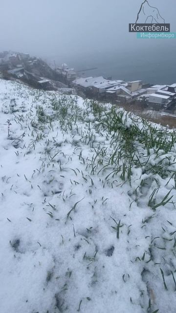Зима в Крыму: Коктебель в снегу