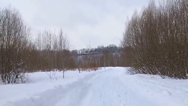 Гефсимания. Новый Иерусалим. 2 февраля