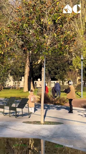 Сквер "Стерео", центр Сочи, февраль