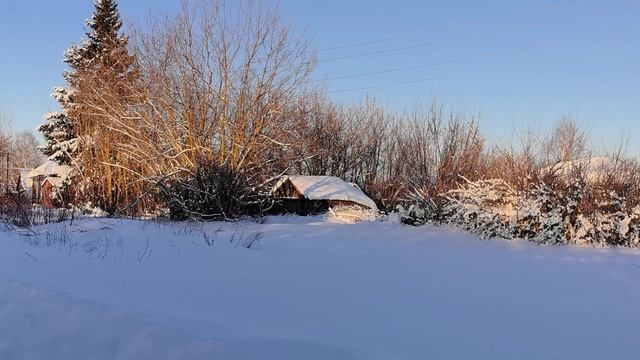 Настоящая зима ❄