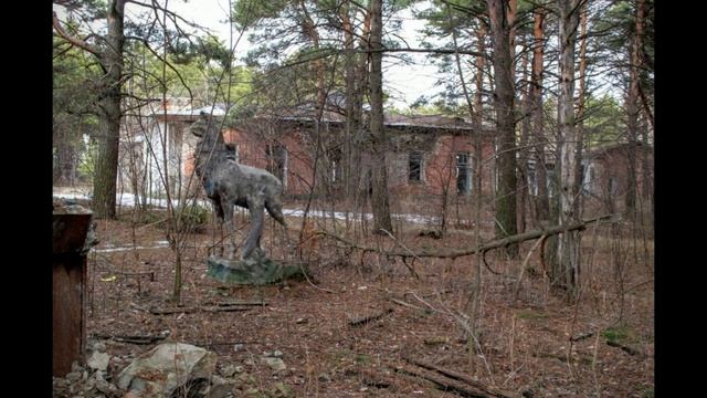 Бывшие пионерские лагеря в селе Верхотомское