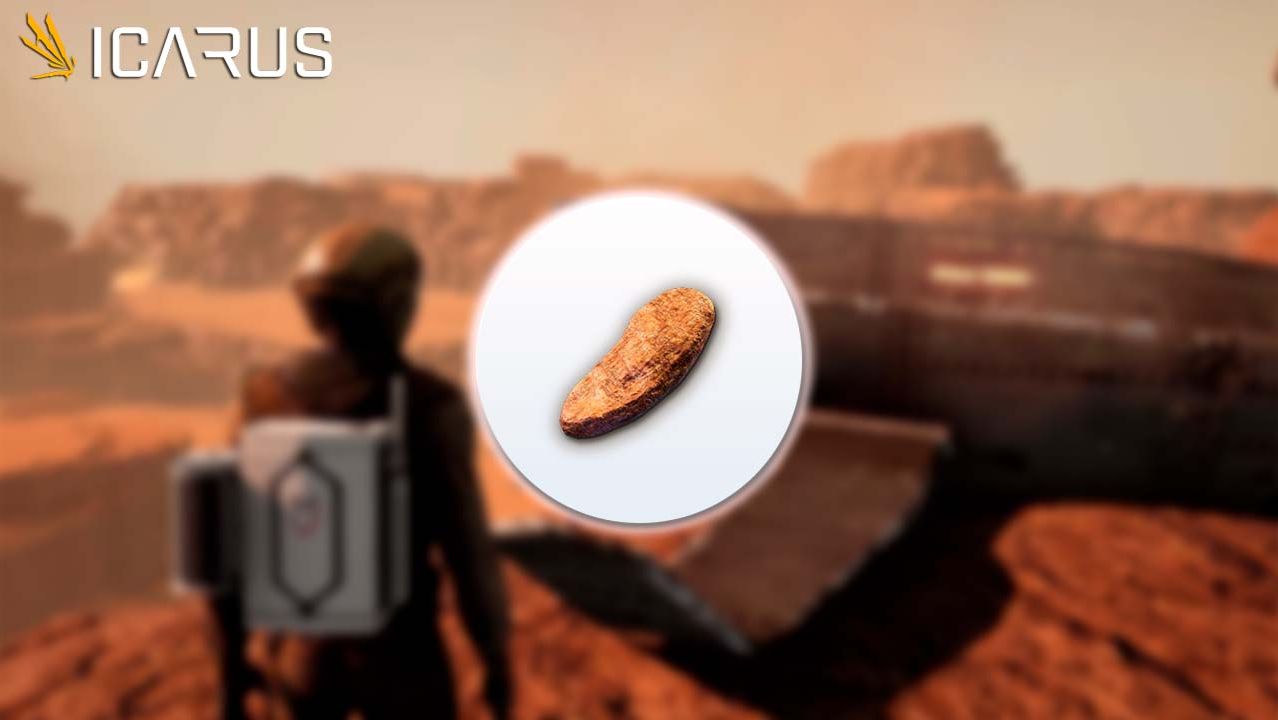 Как сделать СУШЕНОЕ МЯСО в ICARUS