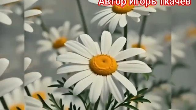 Песенки. НАРЯДНЫЕ ЦВЕТОЧКИ