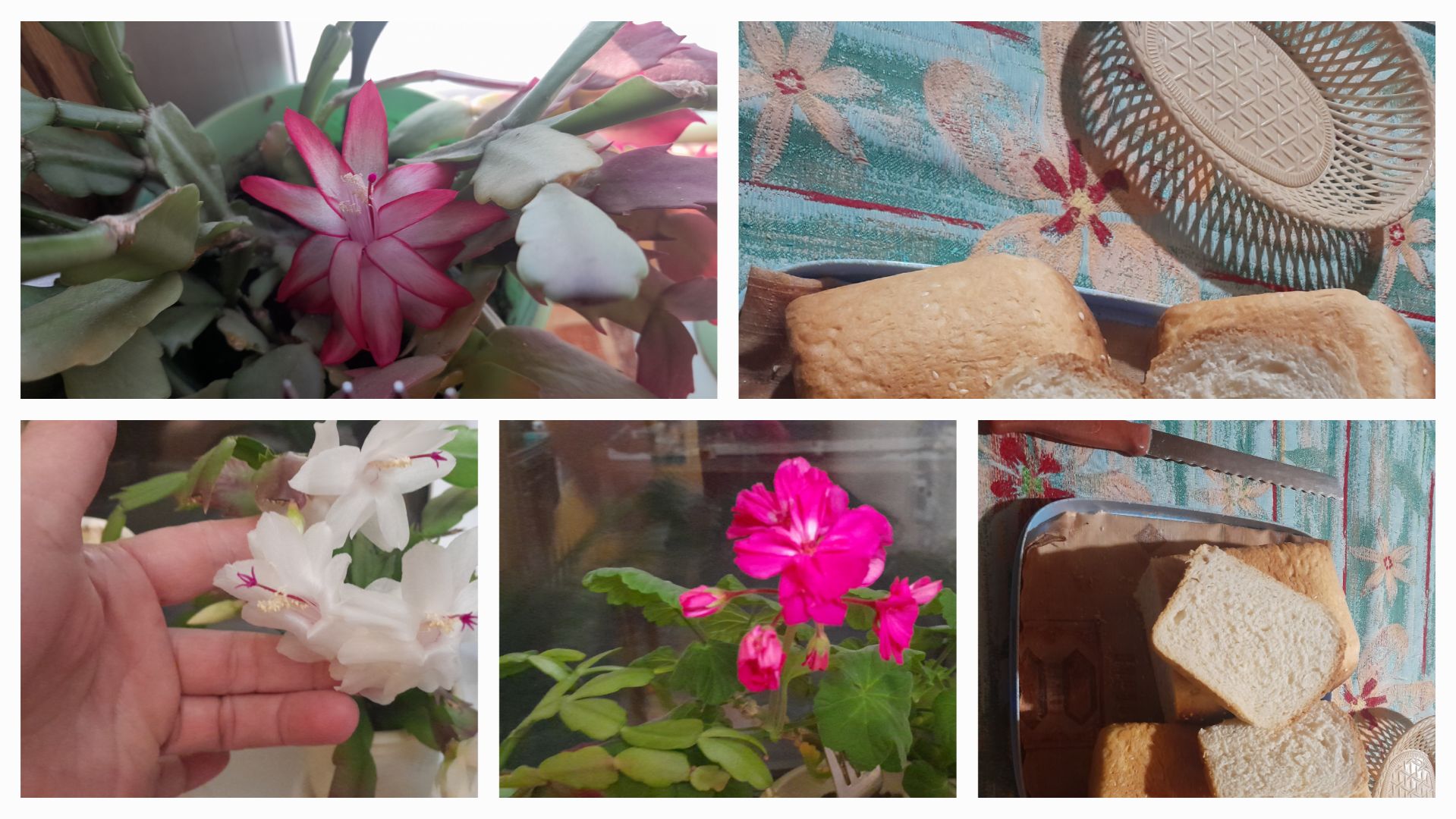 Мой Загородный дом 02.02.2026/Выпечка Домашнего Хлеба это всегда #Вкусно/Морозно - 40