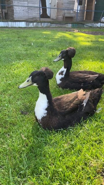 Самые модные причёски в 2026 году