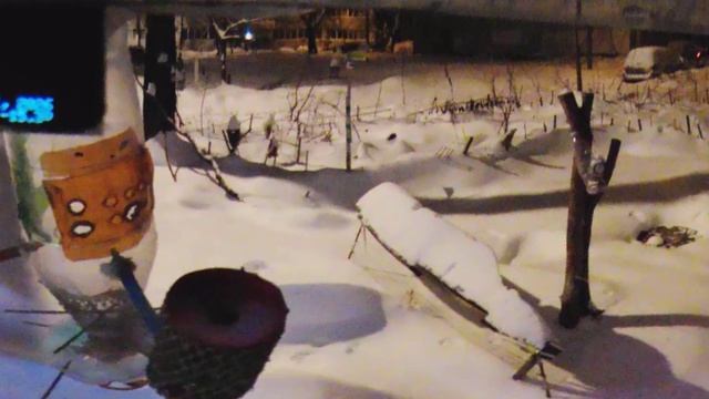 В генеральную прокуратуру РФ Нарушения ПДД и САНПИН