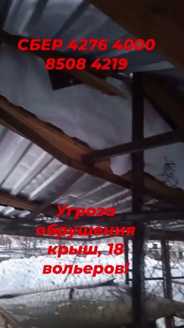 Рушатся крыши от снега