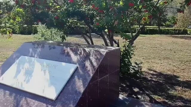 Мемориал оренбуржцам, погибшим в локальных войнах и военных конфликтах  Видео Виктор Поживин