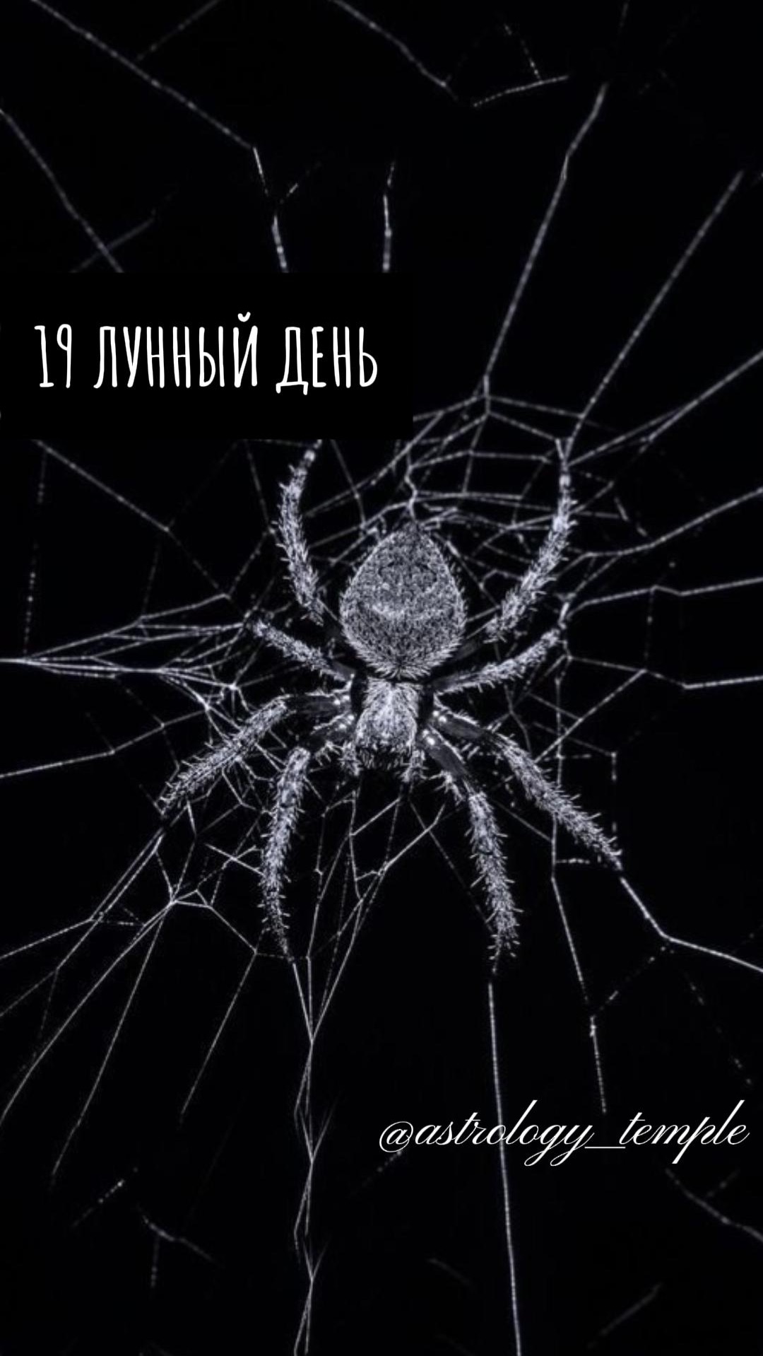 📅 ПТ, 6.02.2026 🌛 19 лунный день | Убывающая Луна в Весах  🪄