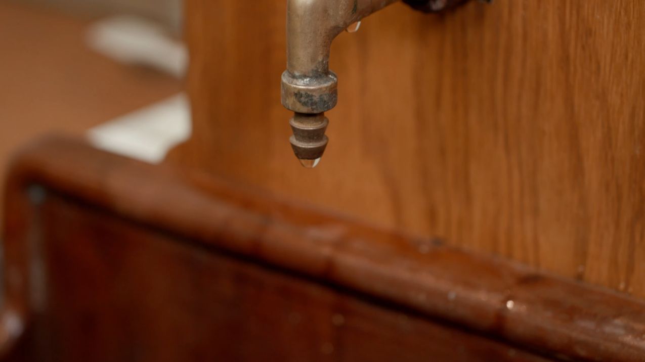 Музейные заметки | Раковина