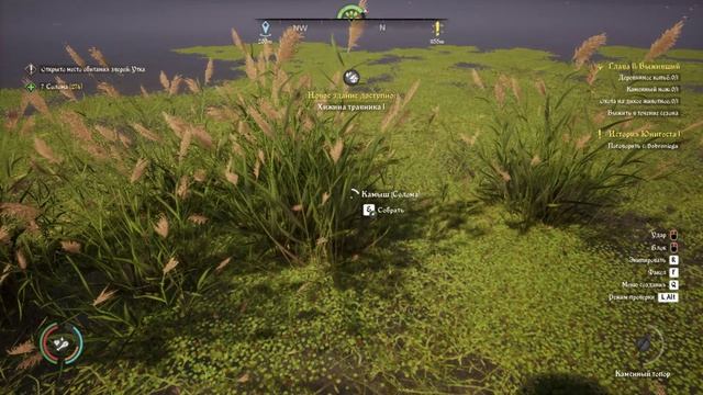 Medieval Dynasty #2 (Без комментариев)