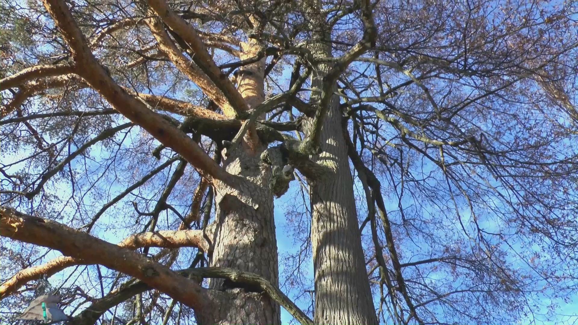 Это любовь......