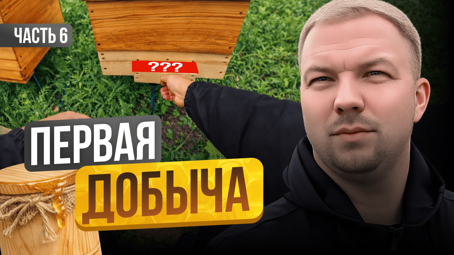 Сбежал с офиса на пасеку! Что из этого вышло? Строю пасеку с нуля | Серия 6