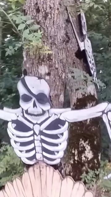 Пират - архивное видео. Геленджик 2021 | Please Wait...