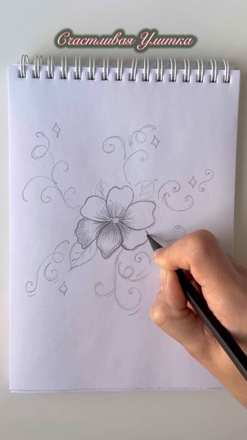 Рисунок карандашом Цветок