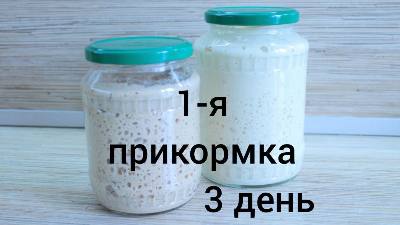 Закваски с нуля - часть 4 - 1 кормление