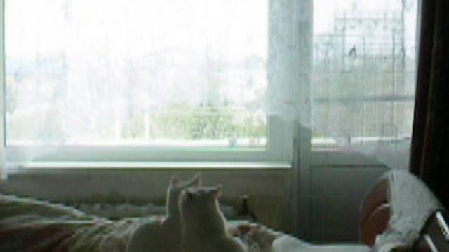 17.03.16. Умываются