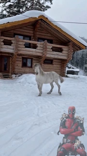 Пусть любовь взорвется БбУум БбУум 😼🫶😎