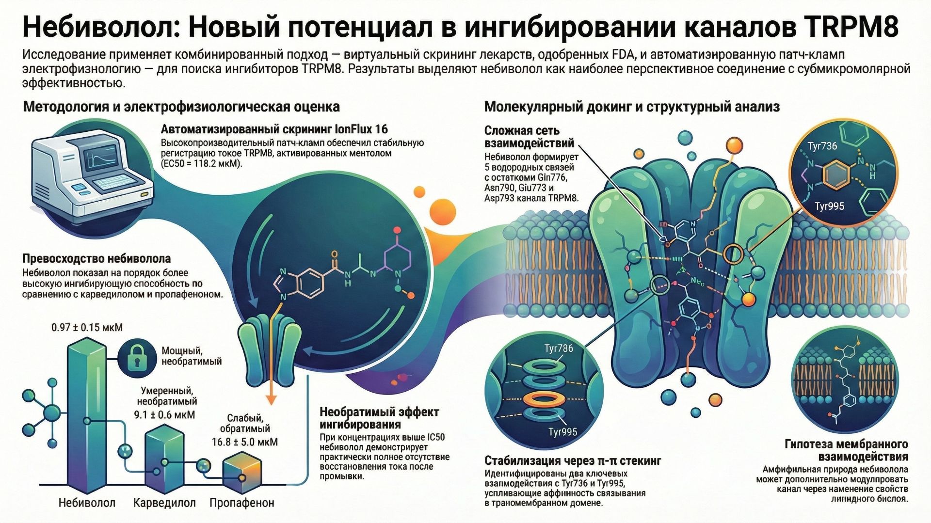 Небиволол как мощный блокатор канала TRPM8