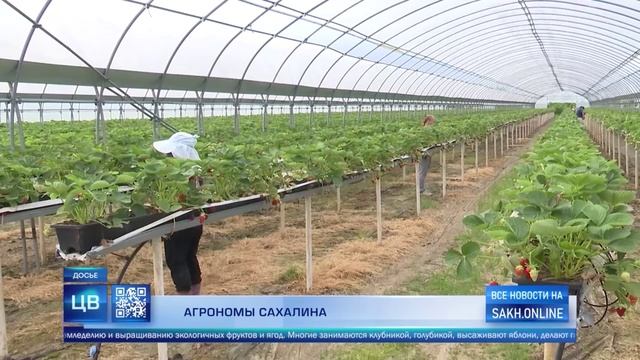 Сахалинская «Агрошкола» продолжает серию семинаров