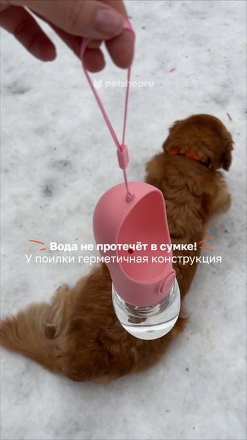 Обзор: PETSHOP поилка (арт. 66414)