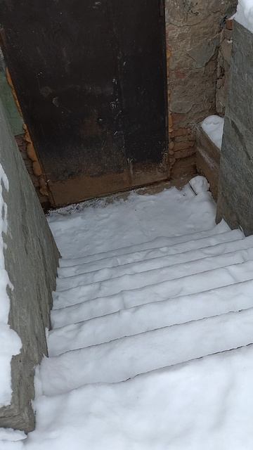 №1254 ул. Газеты Звезда. 31 декабря 2025 г., 15:10:31 VID_20251231_151015442