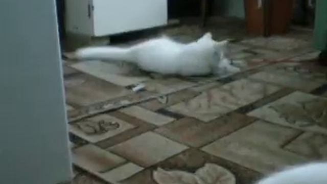 Играются девочки