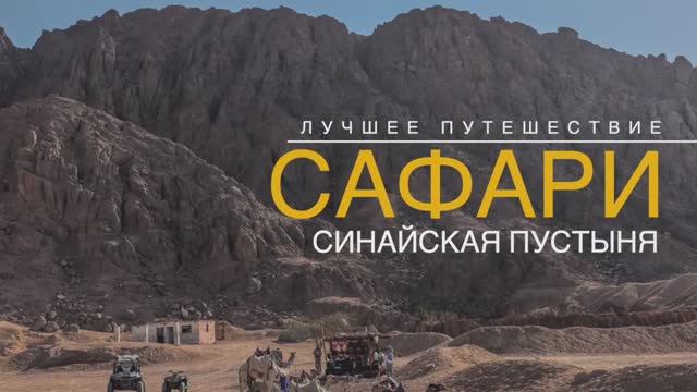 Сафари по Синайской пустыне в Египте