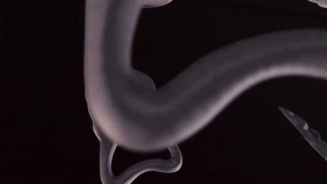 А есть ли кайф