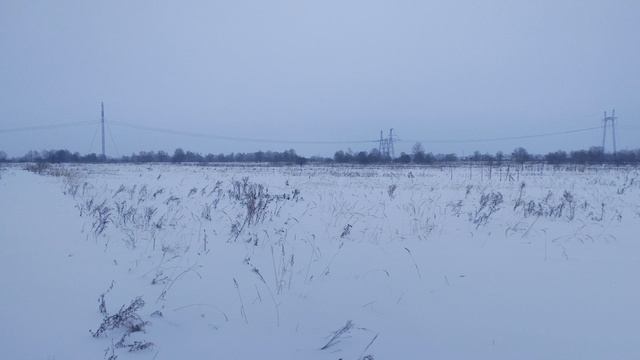 п. отделения-4 совхоза "Павлищево" 50:18:0070407:989