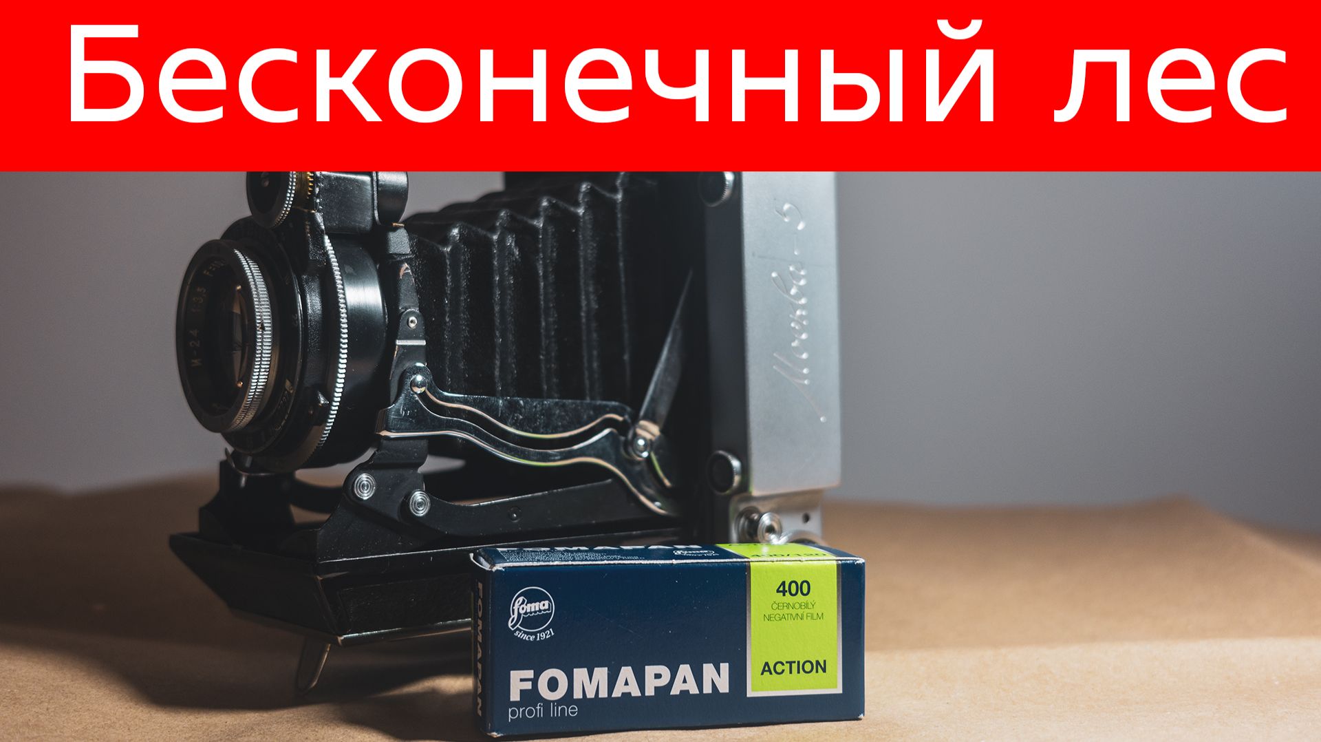 Москва-5, черно-белая пленка и бесконечный лес